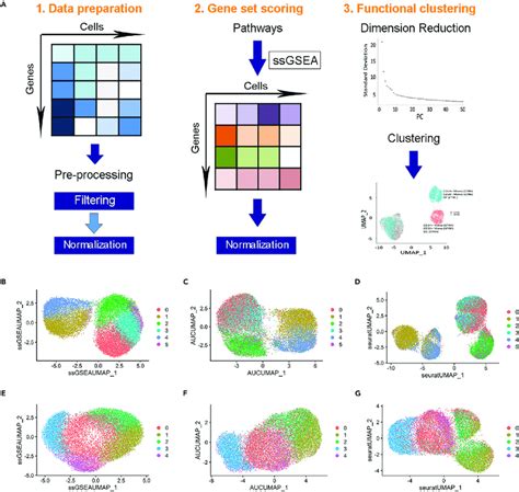 detection of heterogeneity of hadscs by a new functional clustering download scientific diagram