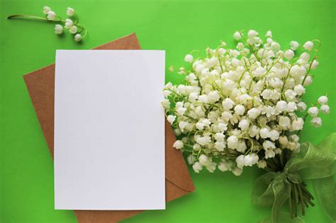 계곡의 백합의 작은 꽃다발과 텍스트를위한 공간이있는 흰색 공백 꽃 식물에 대한 스톡 사진 및 기타 이미지 꽃 식물 0명 3월 Istock