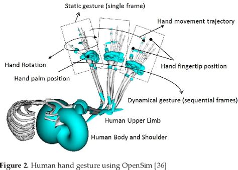 Figure 2 From Hand Gesture Modeling And Recognition For Human And Robot