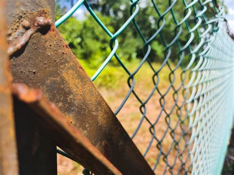 Rusty Fence And Chain Link Stock Photo Image Of Tree