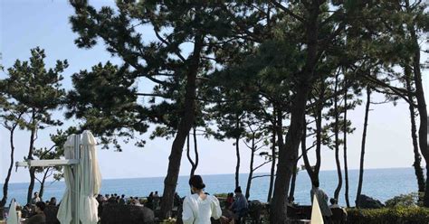 안다겸 고수의 수학 과외 서비스 울산 중구 숨고 숨은고수