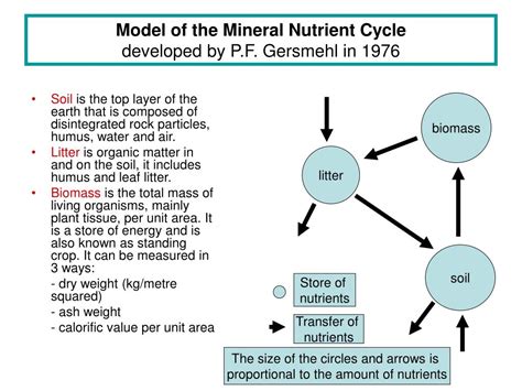 PPT Model Of The Mineral Nutrient Cycle Developed By P F Gersmehl In PowerPoint