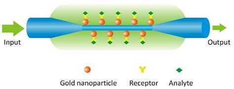 Optical Micronanofiber Based Localized Surface Plasmon Resonance Biosensors Fiber Diameter