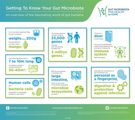 Advagen Ltd Learn More About Gut Microbiota From This Infographic By Gut Microbiota News Watch