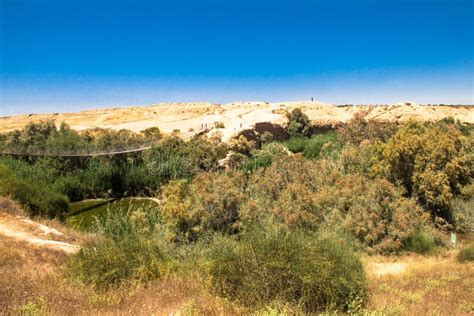 Suspension Bridge And Besor Brook In Eshkol National Park Negev Desert