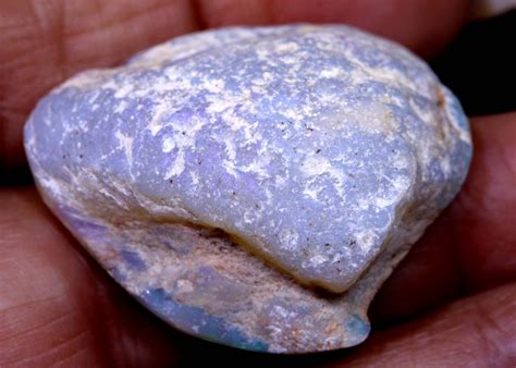 58 Cts Clam Shell Opalised Fossil Fo 1682 Fossil Opals