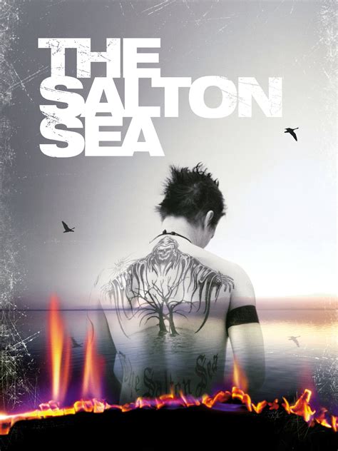 The Salton Sea 2002