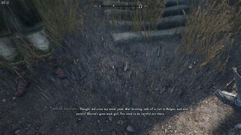 Grass Texture Glitch R Skyrimmods