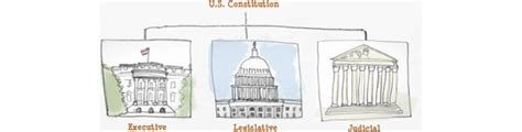 Three Branches Of Government