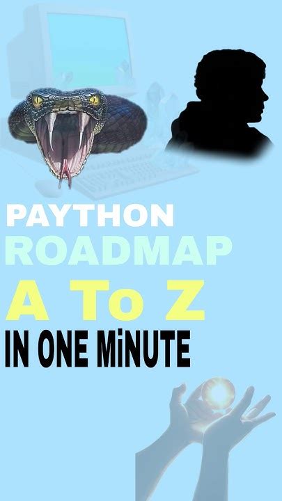 paython roadmap in one minute 2024 shortsfeed tiktok codinglife