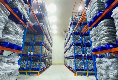 Integrated Cold Storage Facilities Hsn Group