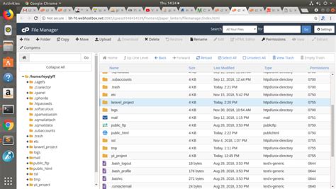 Host Laravel Project On CPanel