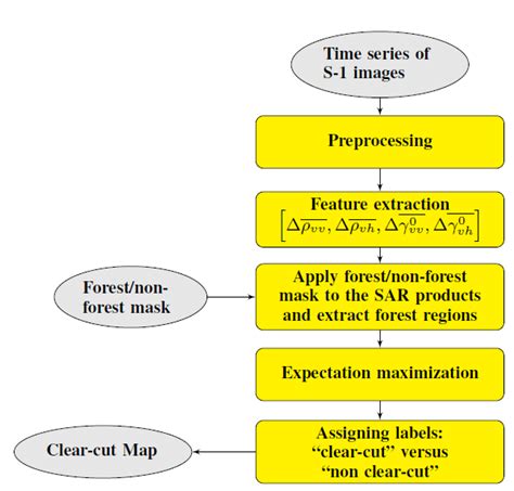 Flowchart Of Sar Data Processing For The Forest Disturbance Download Scientific Diagram