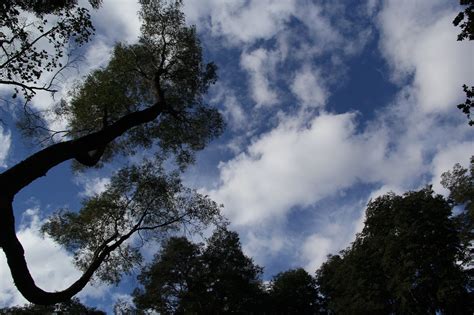 Cielo Sky Clouds Free Photo On Pixabay Pixabay