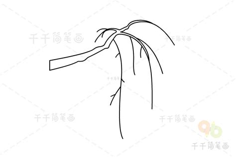 连理枝图片简笔画 连理枝图片简图 大山谷图库