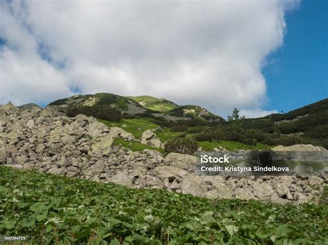 바위 바위 산책로 난쟁이 스크럽 소나무 및 녹색 산 봉우리가있는 아름다운 산악 계곡 Smutna Dolina 서부 타트라스 산맥 로하체 슬로바키아 여름 푸른 하늘 배경
