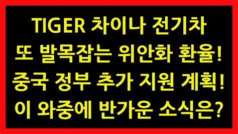 차이나 전기차 Solactive 주가 전망 타이거 Tiger Etf 레버리지 중국 2차전지 배터리 주식 장기 투자 장투 단타 구성 종목 아쉬운 위안화 환율 Youtube