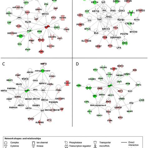 Schematic Representations Of The Most Significant Networks Generated By