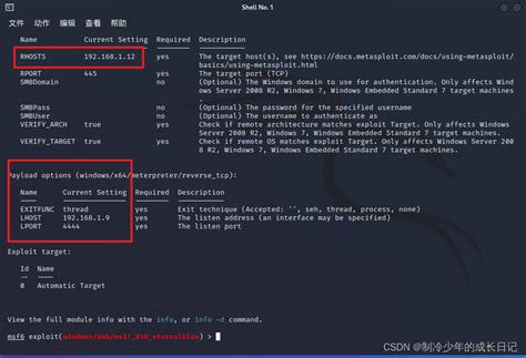 渗透测试工具 Metasploit使用复现永恒之蓝漏洞永恒之蓝检测工具 Csdn博客