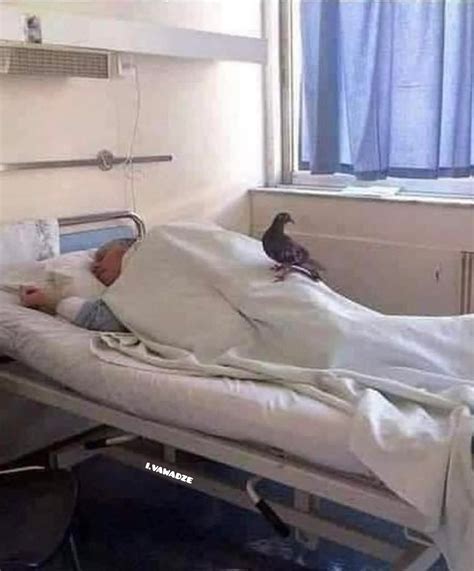 ი ექთანმა რომელმაც ეს ფოტო გადაიღო თქვა „ეს პაციენტი საავადმყოფოში ხუთი დღის წინ