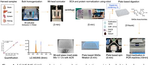Figure 1 From High Throughput Liquid Chromatographytandem Mass Spectrometry Quantification Of