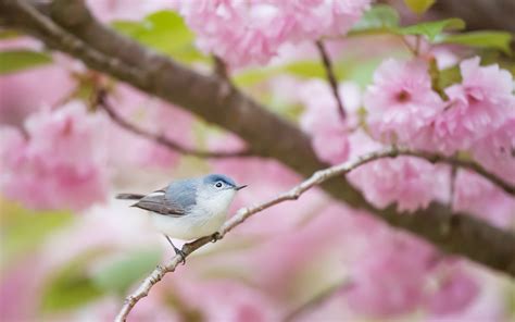 spring boot jersey and swagger always happy together
