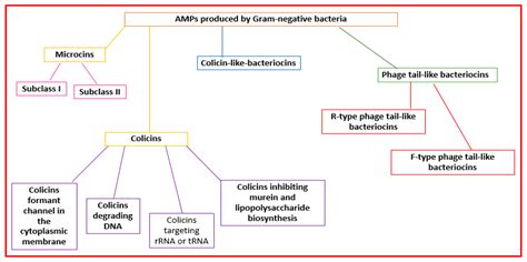 Antimicrobial Peptides Natural Source Encyclopedia Mdpi