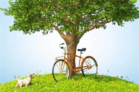 چرخه ی فتوسنتز تستچی