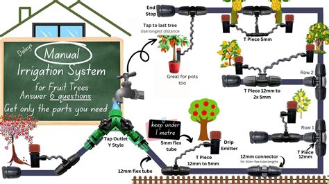 How To Set Up Drip Irrigation For Fruit Trees