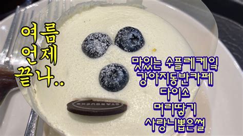 평화롭다 평화로워 여름아 얼른 가버려 YouTube