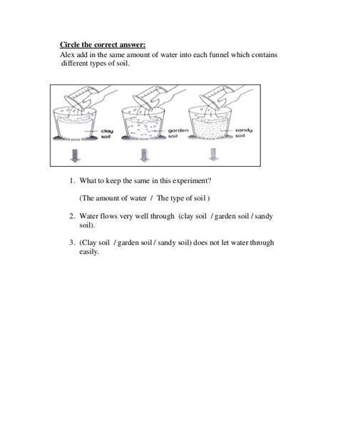 Circle The Correct Answer