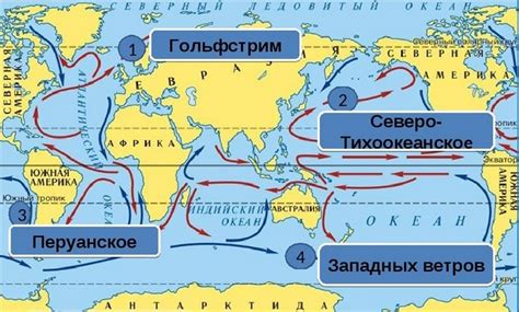 Перуанское течение Гумбольдта теплое или холодное Где находится на карте