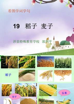 黄色简约风麦子生长记PPT模板下载 熊猫办公