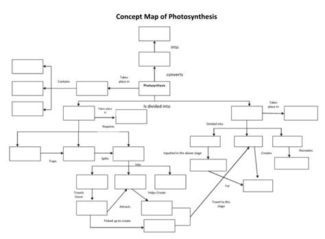 Solved Concept Map Of Photosynthesis Photosynthesis Is