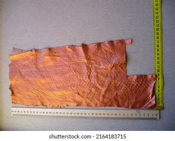 Red Python Images Stock Photos Vectors Shutterstock