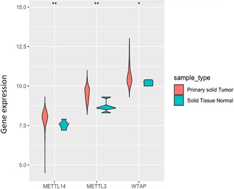 M6a Rna Methylation Regulators Expression In Glioma And Normal Tissue