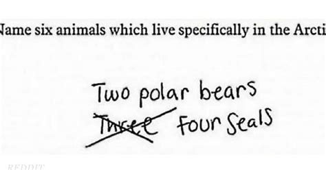 Technically Correct Test Answers Album On Imgur