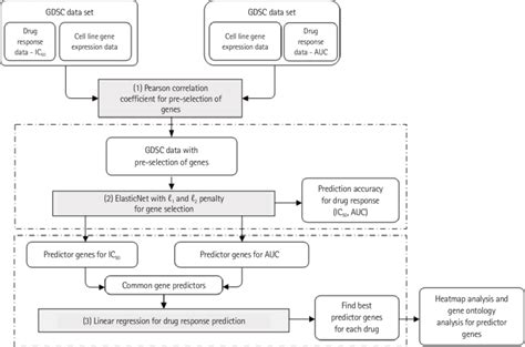 Experimental Workflow Gdsc Genomics Of Drug Sensitivity In Cancer