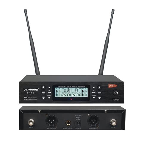 Slim Dual Channel Wireless Microphone System With Receiver Dynamic Wireless Microphone And OEM