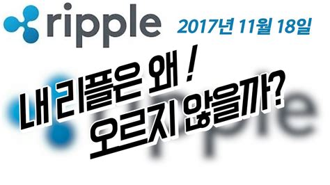 소소 비트코인 내 리플은 왜 오르지 않을까 아무도 알려주지 않은 리플의 비밀 Youtube