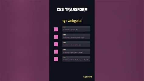 Css Transform Css Learncss Programming Frontend Youtube