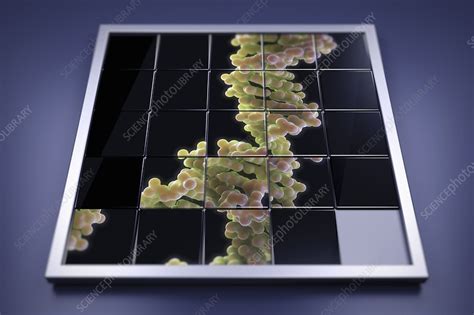 DNA Puzzle Artwork Stock Image C020 5331 Science Photo Library