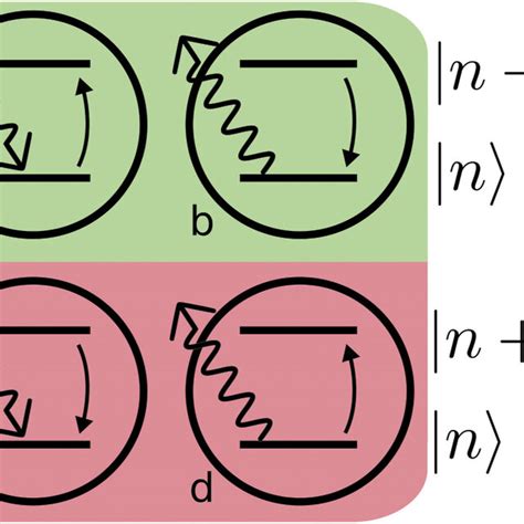 The Processes Included In The Full Interaction Equation 3c A Download Scientific Diagram