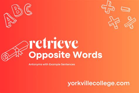 What Is The Opposite Of Retrieve Example Sentences