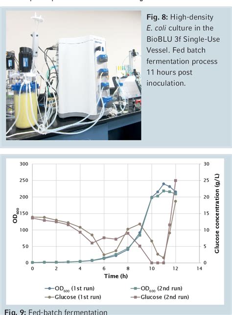 Figure 12 From A Beginners Guide To Bioprocess Modes Batch Fed Batch And Continuous