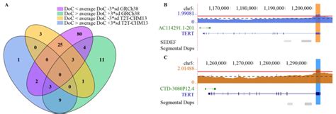 Assessing Cmrgs In The Grch38 And T2t Chm13 Assemblies Using Pacbio