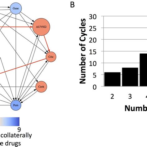 A Collateral Sensitivity Network Depicted As A Directed Graph With