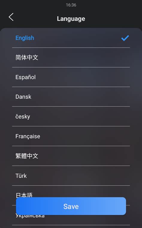 language and time