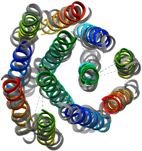 Protein Structure Prediction Meiler Lab