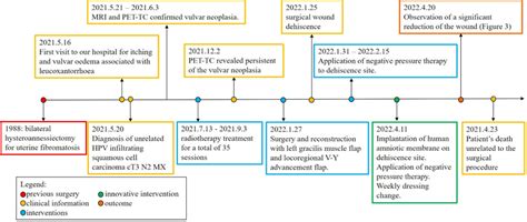 Timeline Of The Clinical Case Download Scientific Diagram